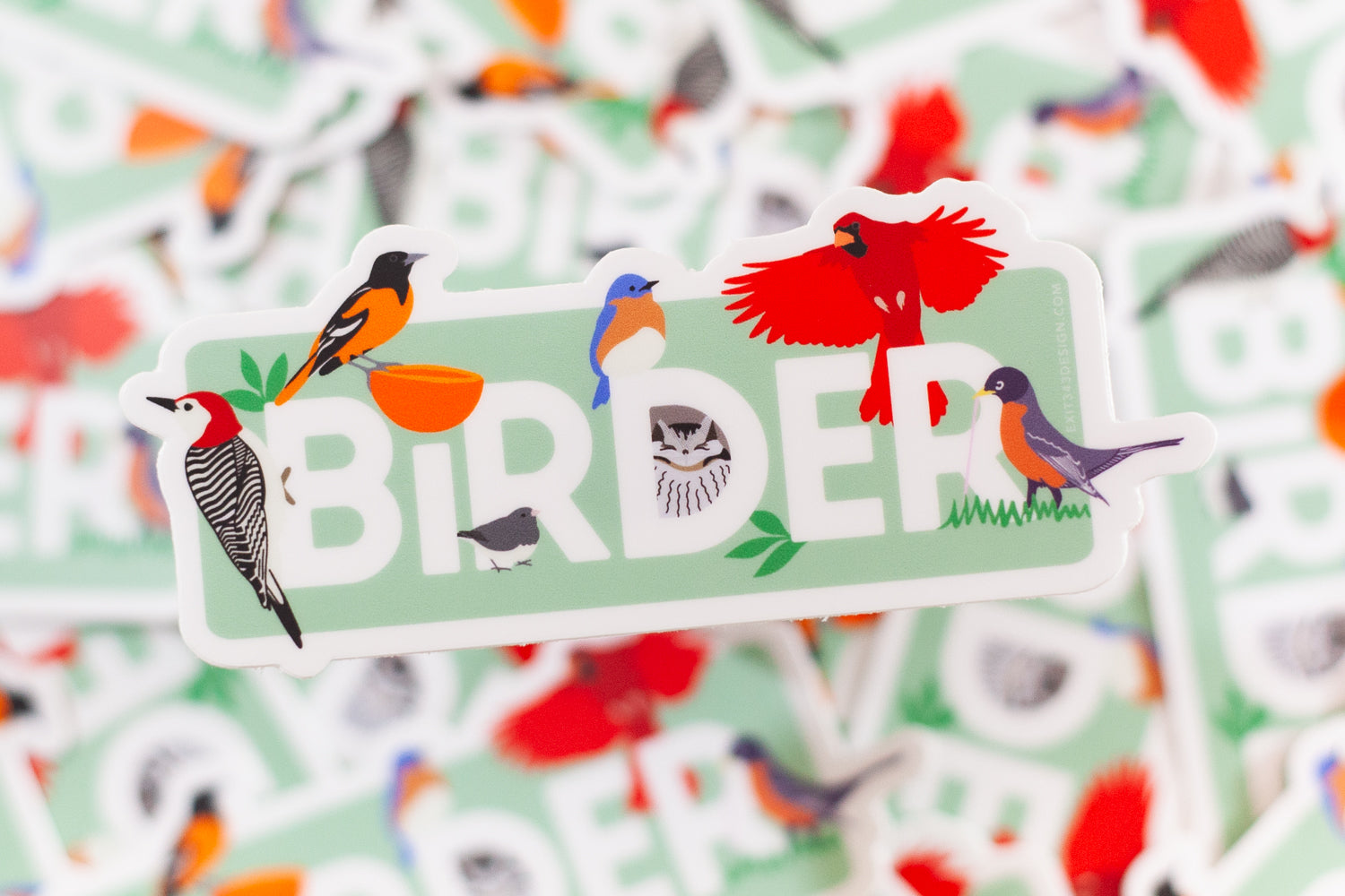 bird watcher sticker, backyard birding sticker, birder sticker, bird s ...