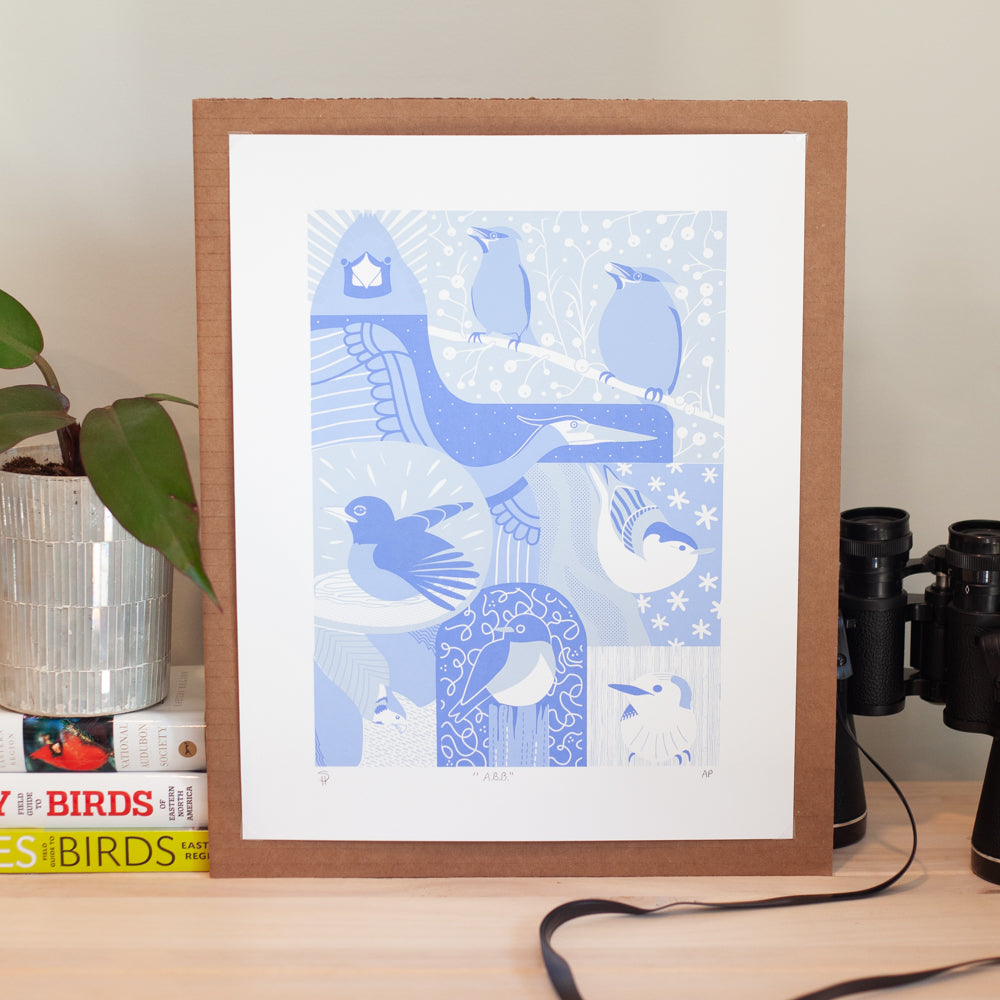Common birds of the Midatlantic art print, backyard birds art for wall ...
