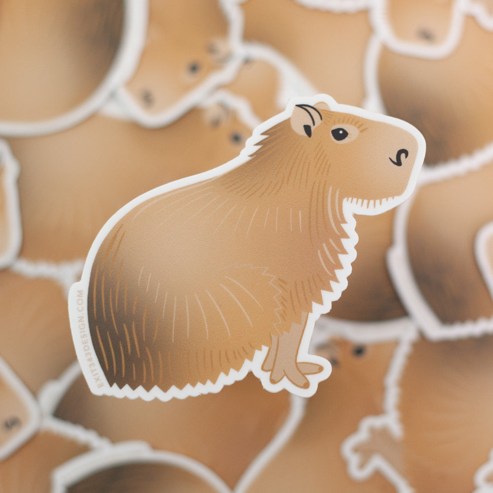 Capybara sticker, gift for animal lover, cute capybara sticker ...